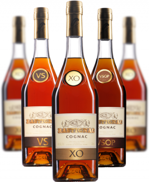 Château des Plassons